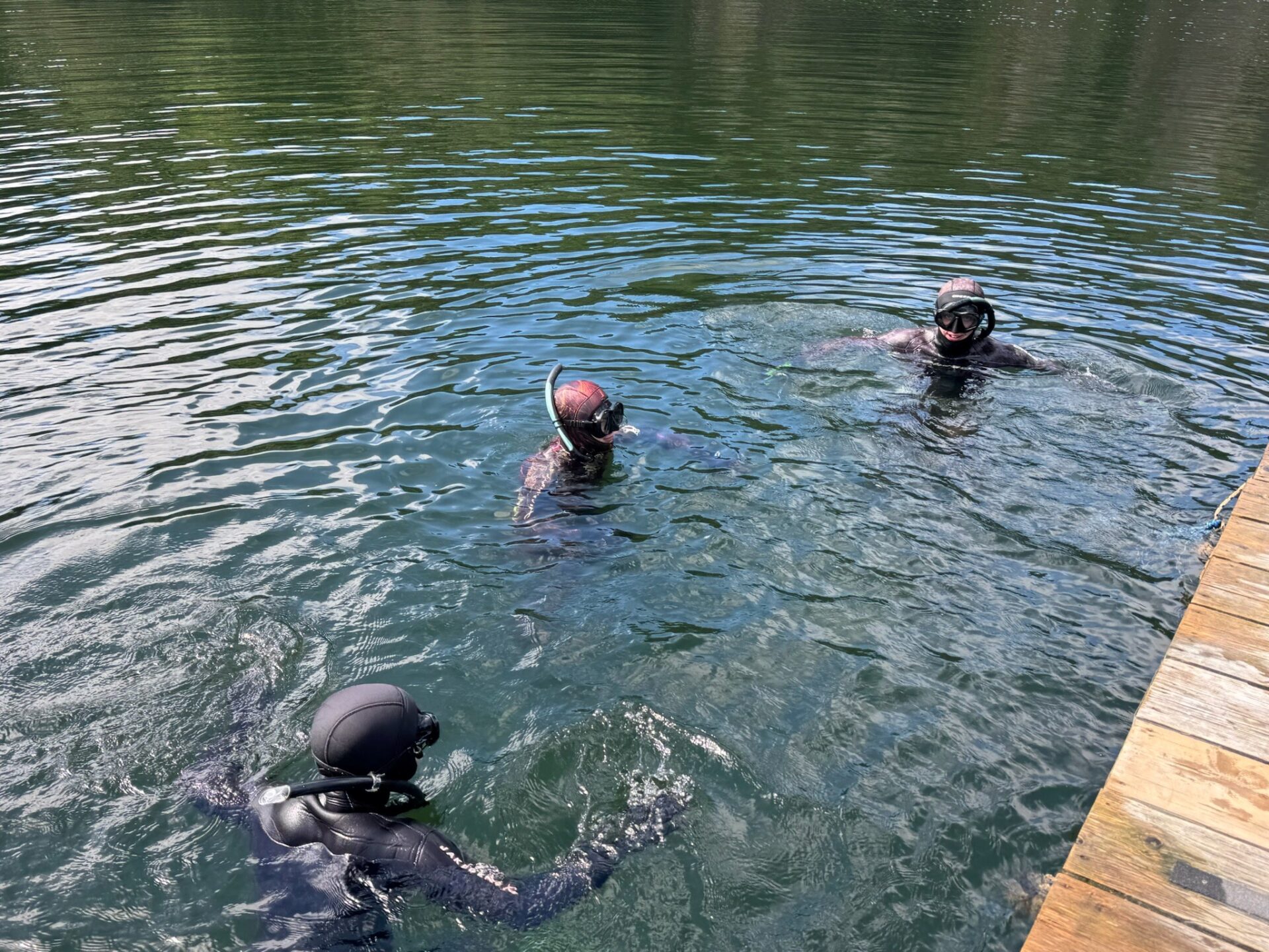 Seven new names join 41-athlete 2024/25 British Alpine Squad – GB Snowsport